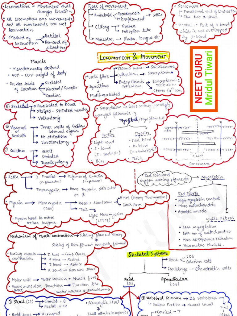 Chap 20 Locomotion and Movement Mind Map | PDF