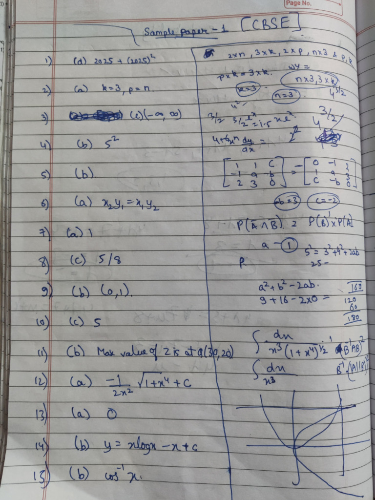 Cbse Sample Paper Solution 2024 Pdf