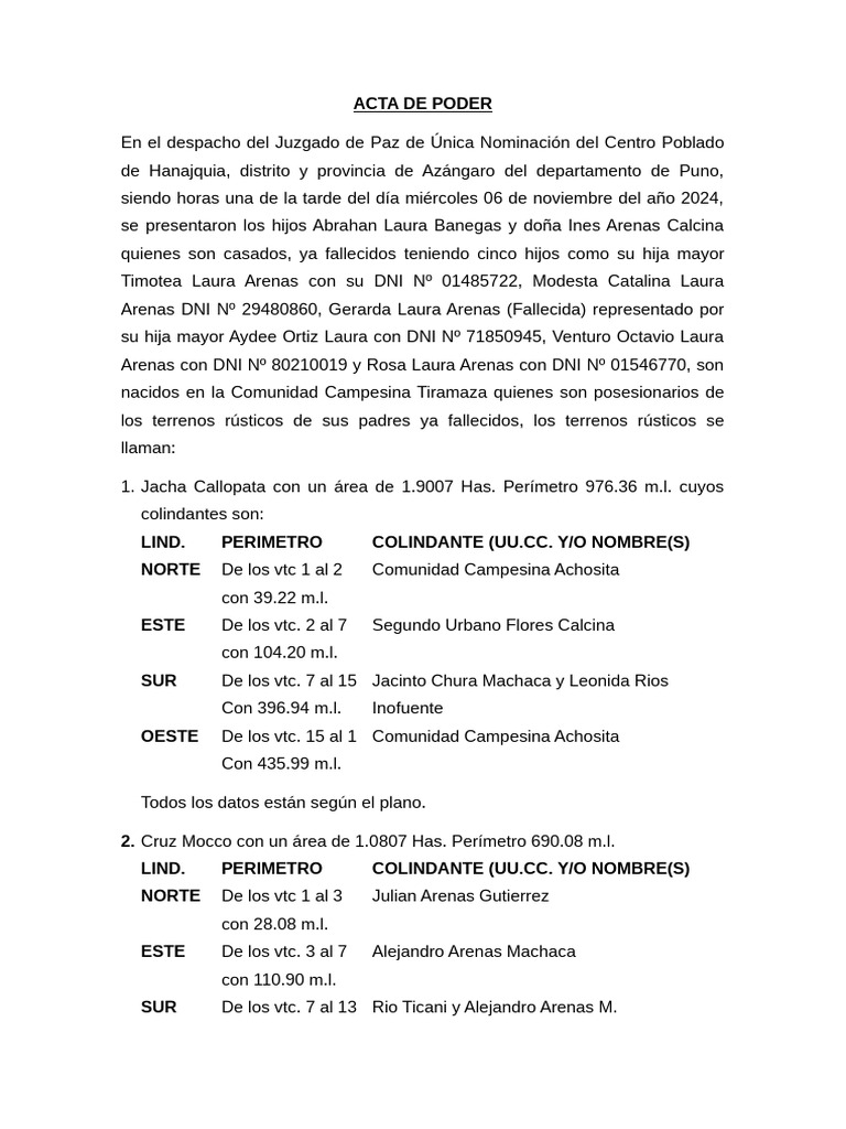 Acta de Poder | PDF