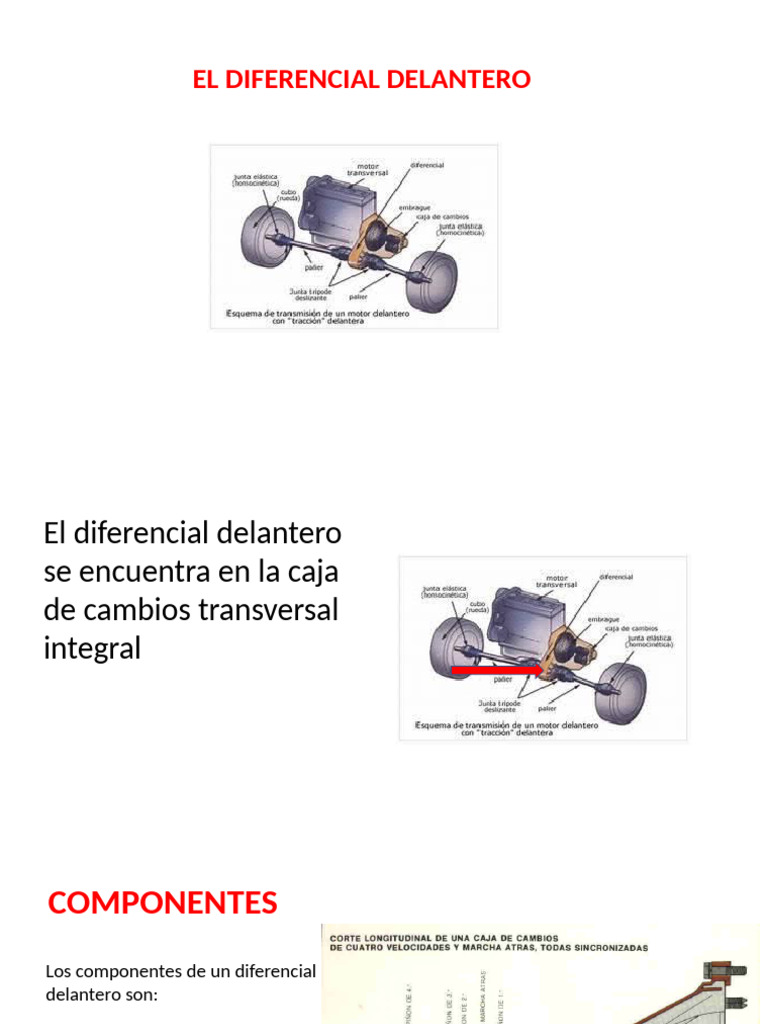 Aceites by Cesar | PDF