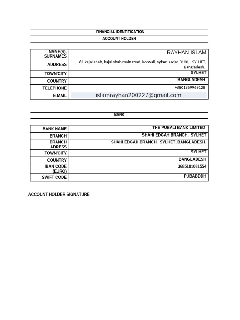 Financial Identification (3) | PDF