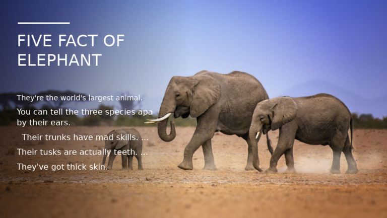 Elephant | PDF
