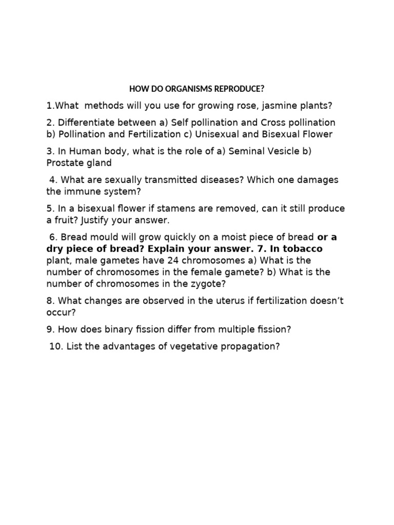 Repd. Worksheet | PDF