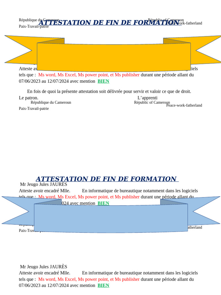 Attestation de fin de formation en informatique | PDF | Génie logiciel ...
