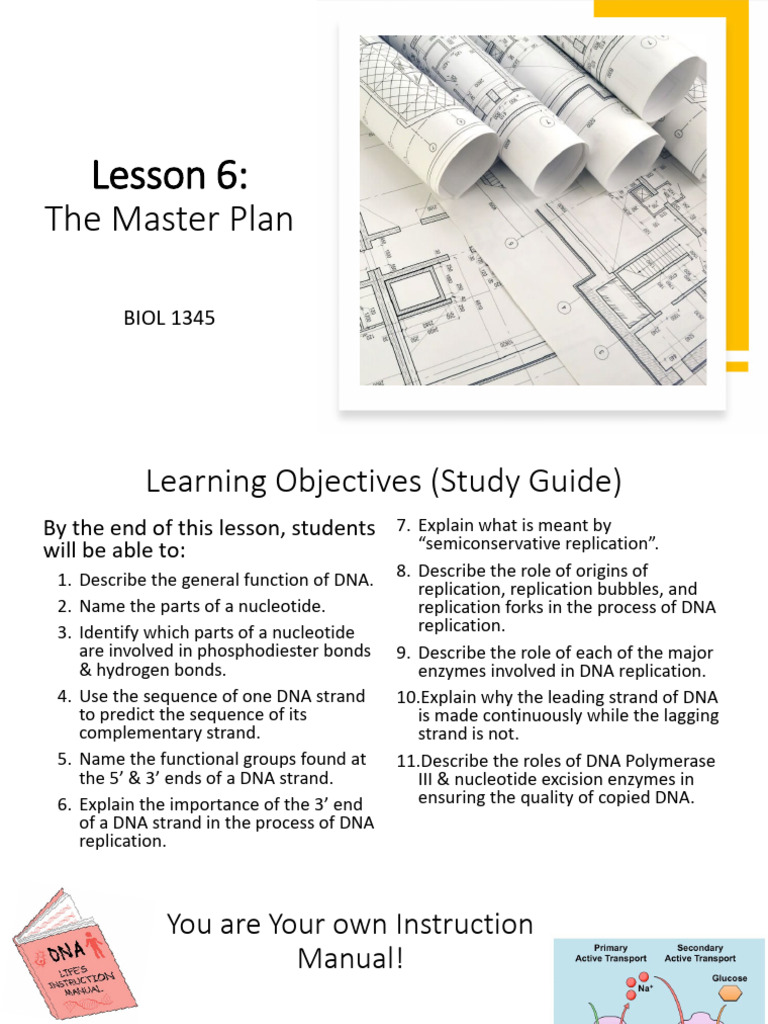 Lesson 6 - The Master Plan-1 | PDF | Dna Replication | Dna
