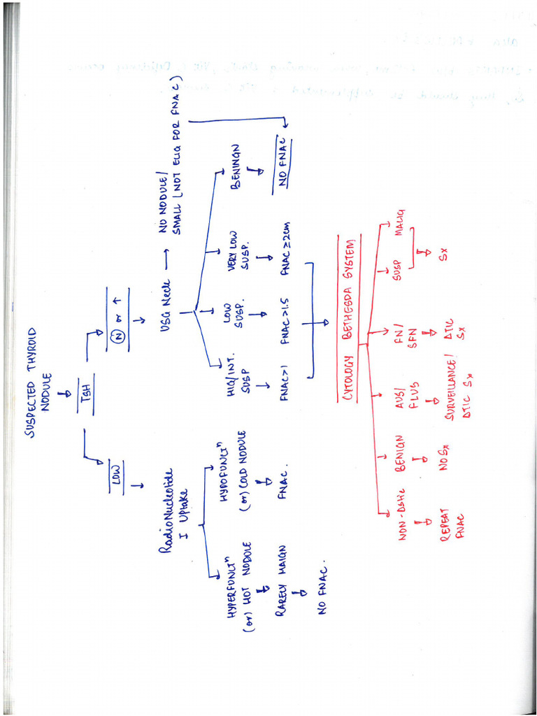 Miscellaneous Hi-Yield Topics | PDF