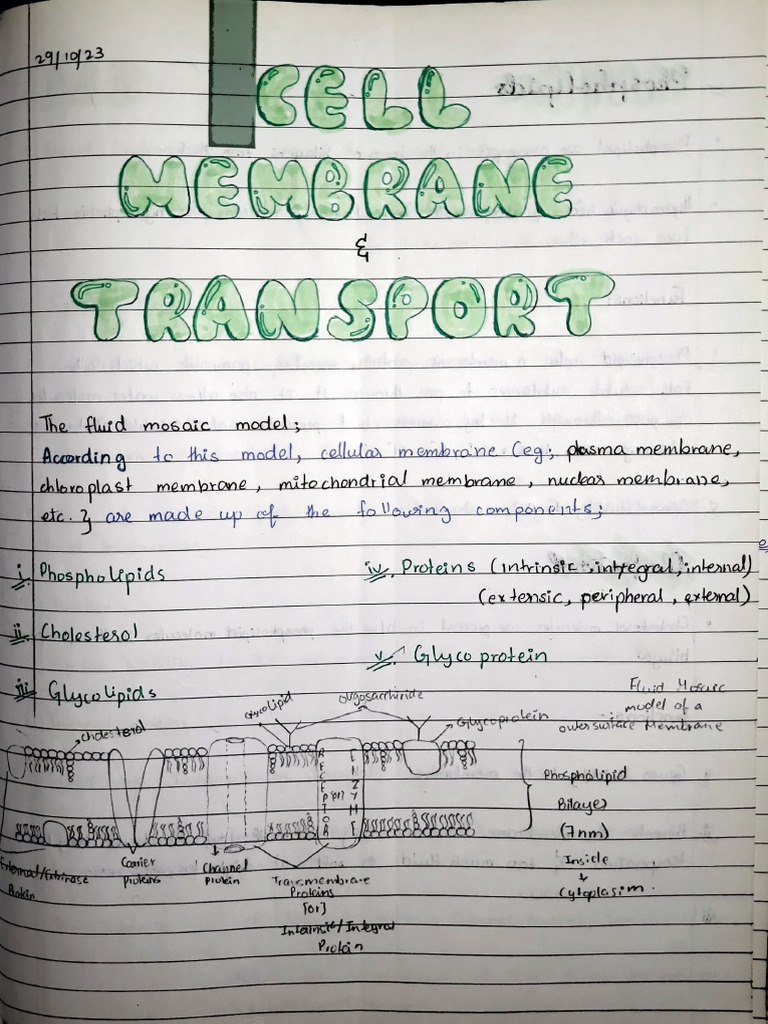 Chap 4 Cell Membran and Transport | PDF | Cell Membrane | Histology