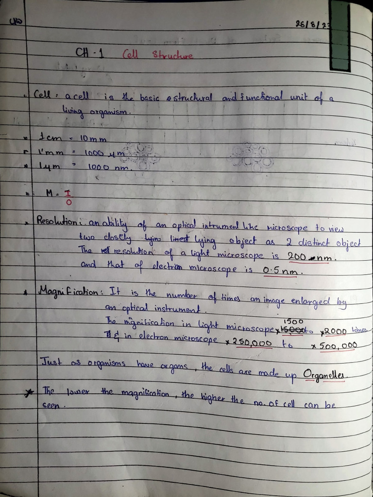 Cell Structure | PDF