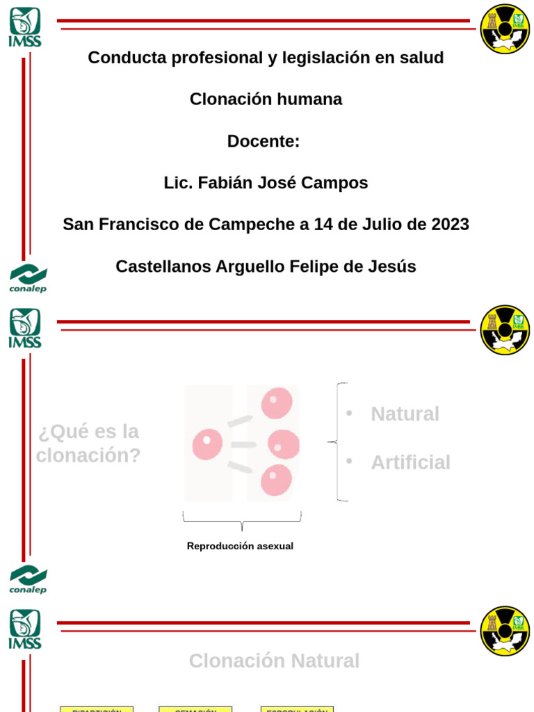Clonación: Ética y Legislación en Salud | PDF | Clonación | México