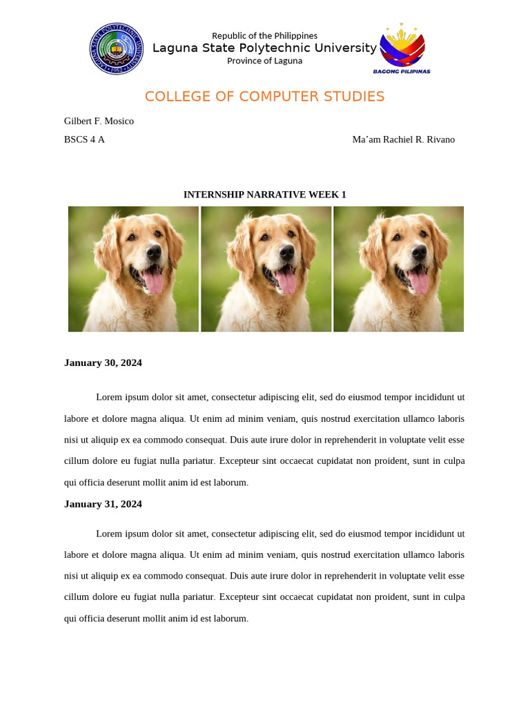 Narrative Template | PDF