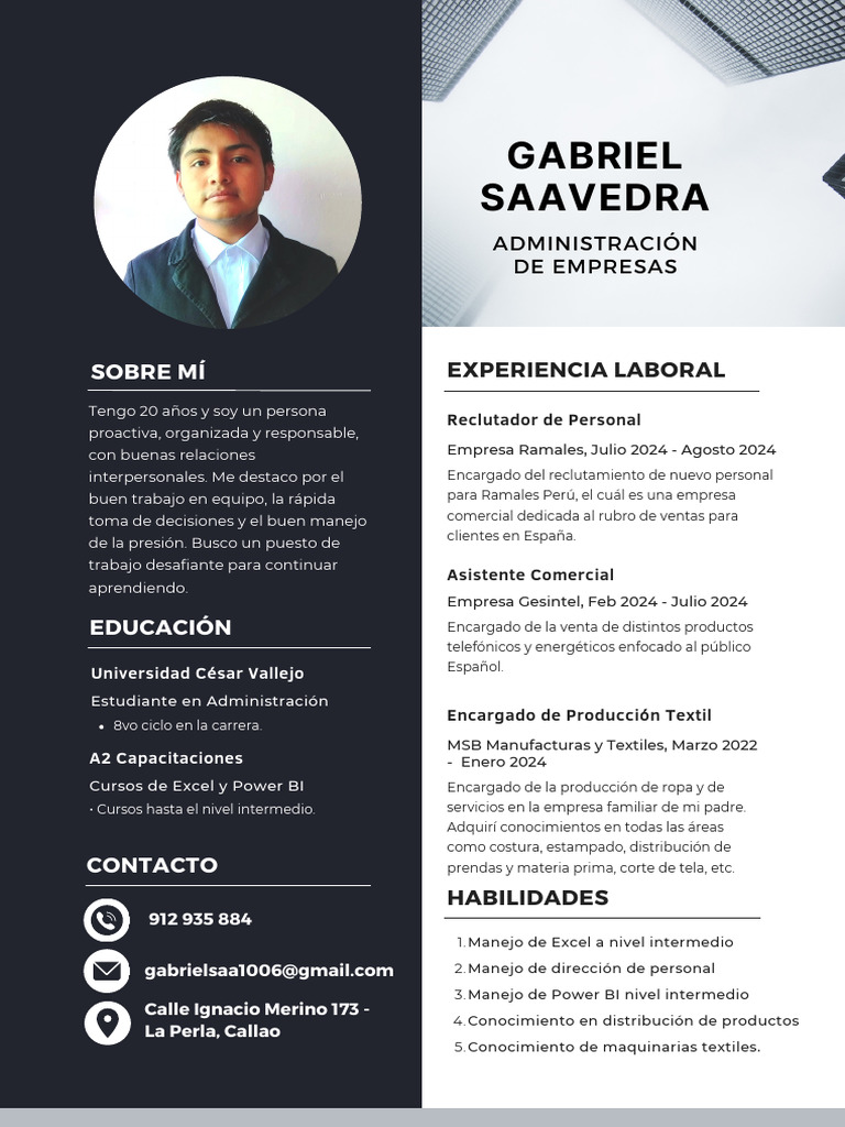 Curriculum CV GABRIEL | PDF