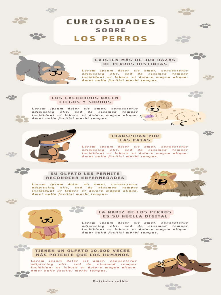 Infografía Curiosidades Sobre Los Perros Natural Beige | PDF