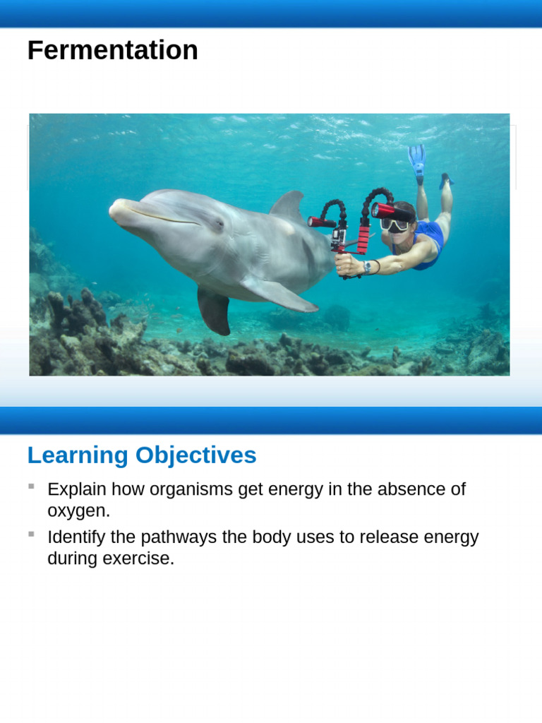 BIO CERP L03 Editable Presentation | PDF