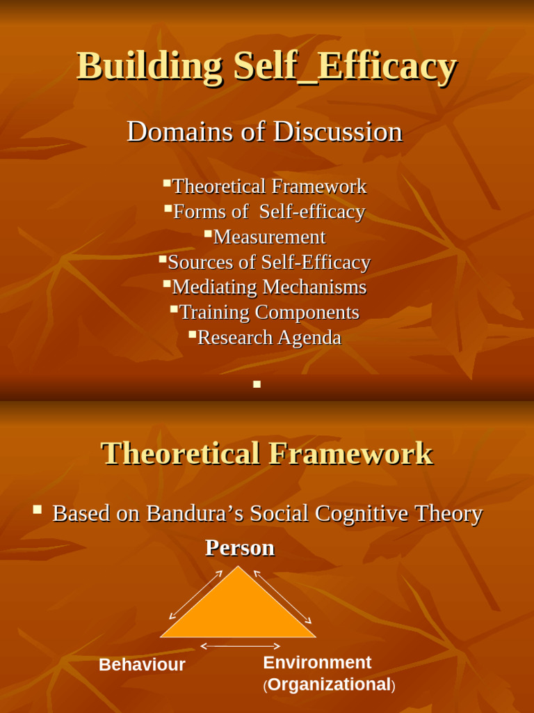 Understanding Self-Efficacy Concepts | PDF | Self Efficacy | Popular ...