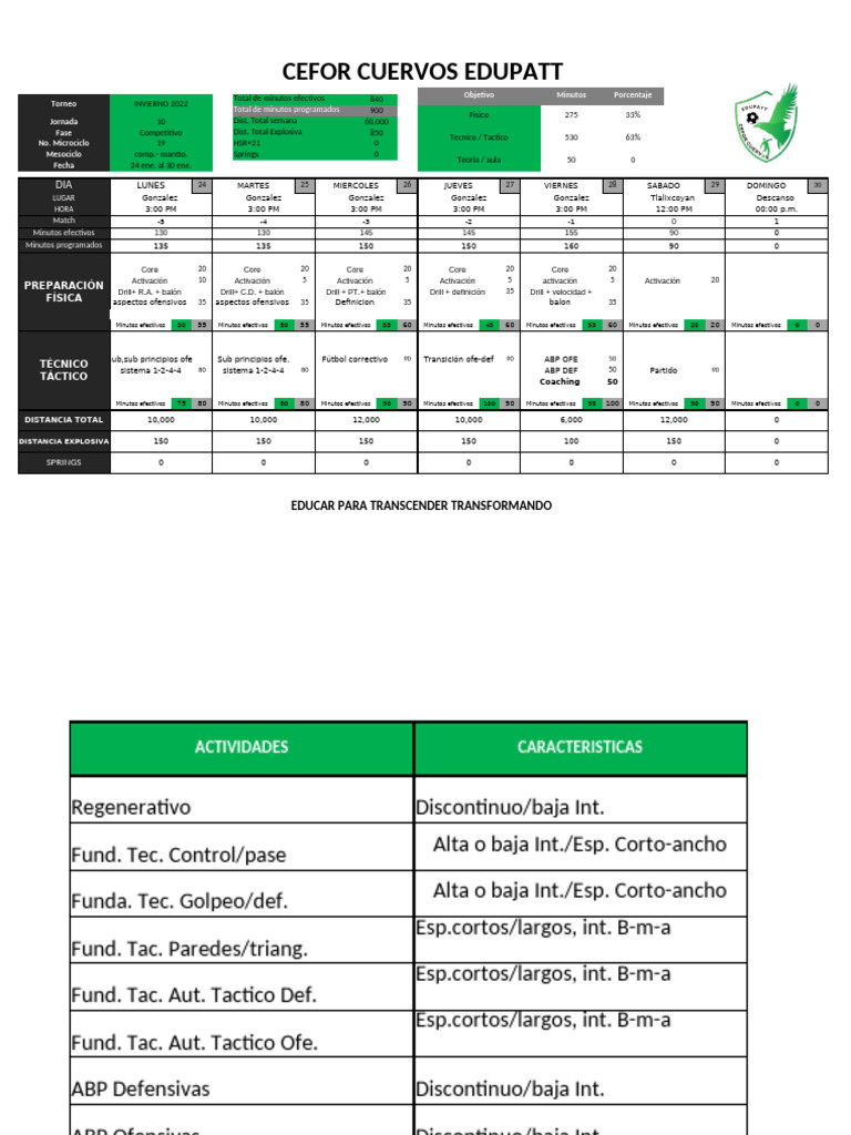 Microciclo 19 Del 24 Ene - 30 Ene | PDF