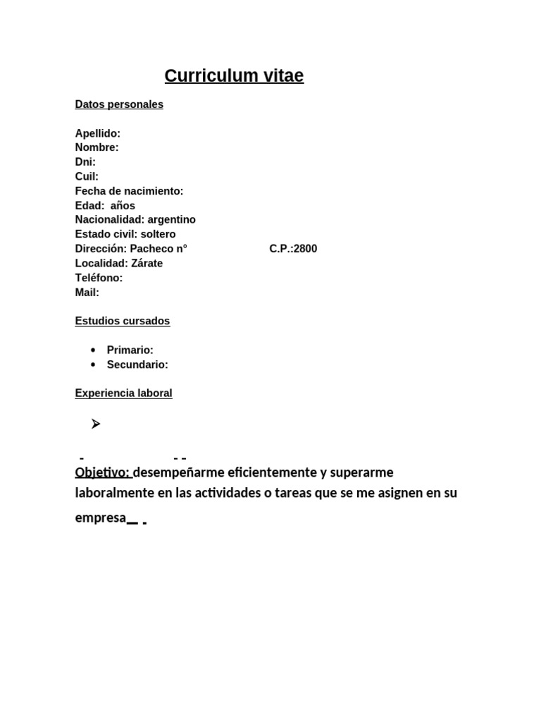 Curriculum Vitae en Blanco | PDF