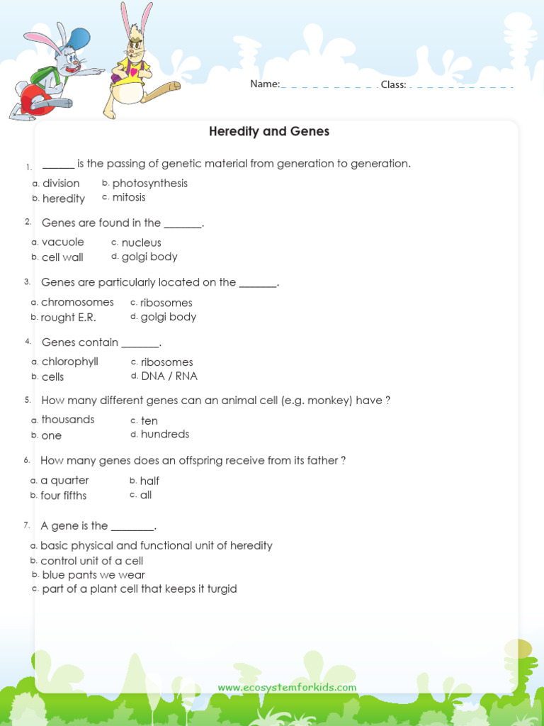 Heredity and Genes for Kids | PDF | Gene | Cell (Biology)
