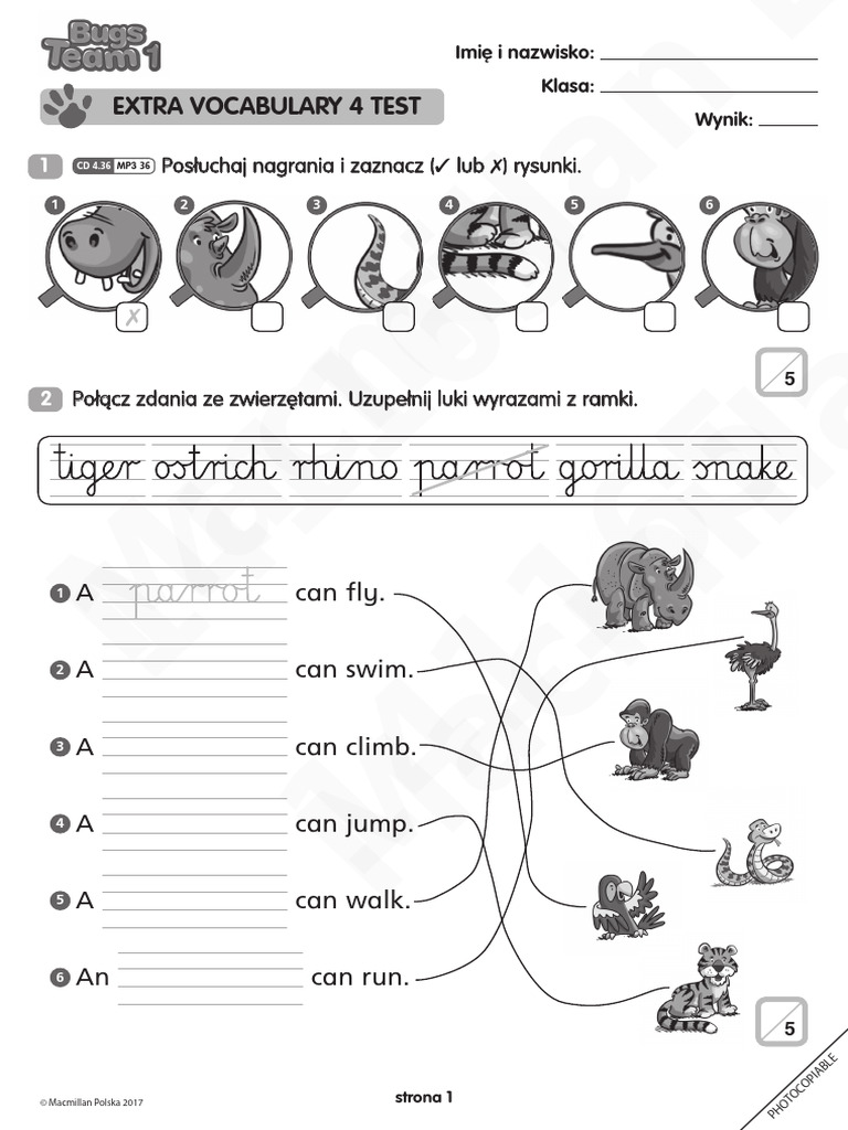 Extra Vocabulary Unit 4 Test Bugs Team 1 | PDF