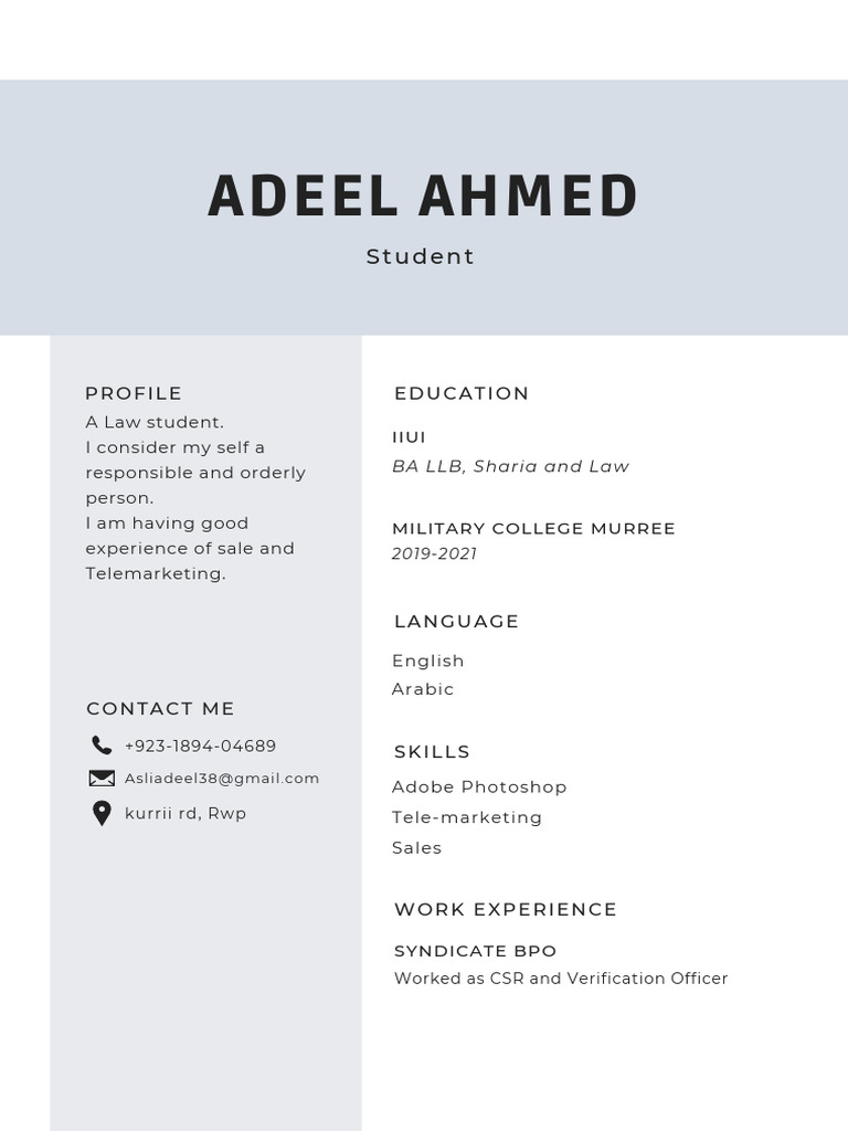 adeel cv | PDF