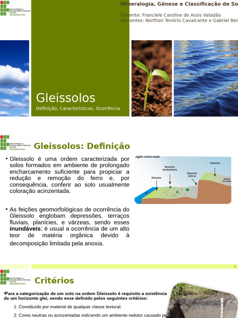 Gleissolos Apresentação | PDF | Solo | Materiais naturais