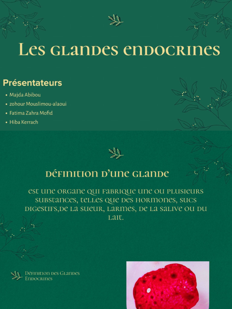 Présentation 6 | PDF