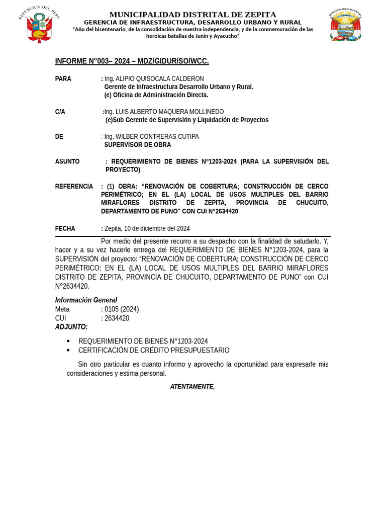 INFORME N° 003 REQUERIMIENTO EPP PERSONAL TECNICO | PDF