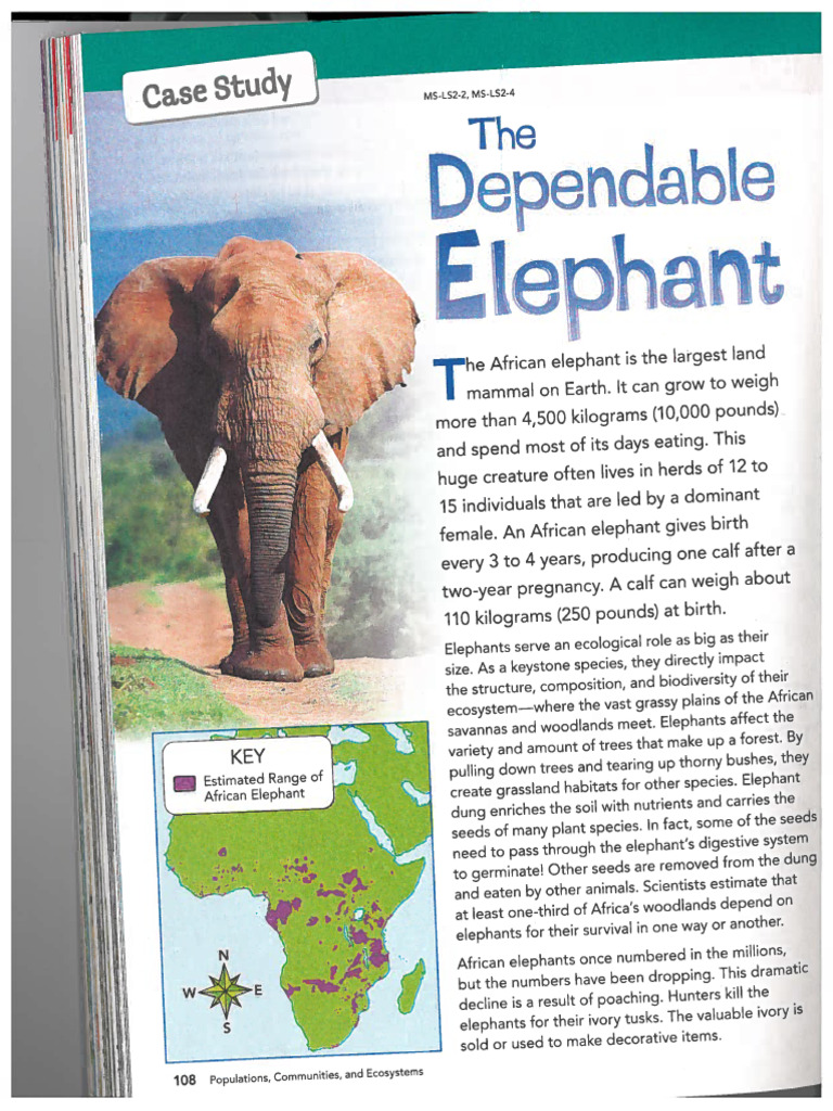 Dependable Elephant Case Study PG 1.pdf - Kami | PDF | Elephant | Seed