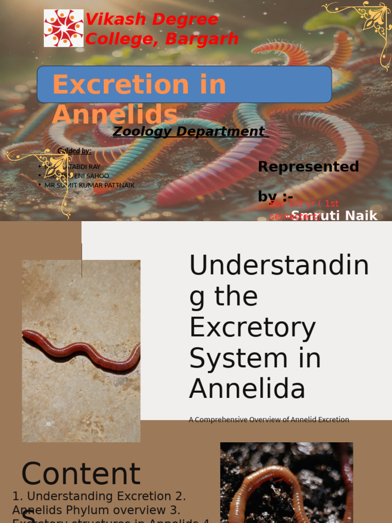 Excretion in Annelids _20241203_202615_0000.pdf | PDF | Excretion | Soil