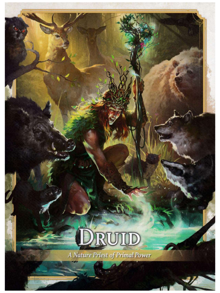 D&D 5.5 Class-Druid | PDF