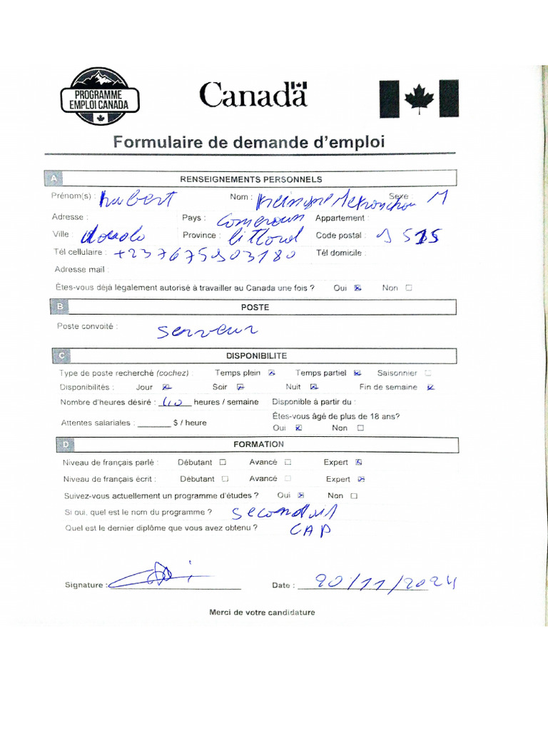 ACE Scanner - 2024 - 11 - 20 | PDF