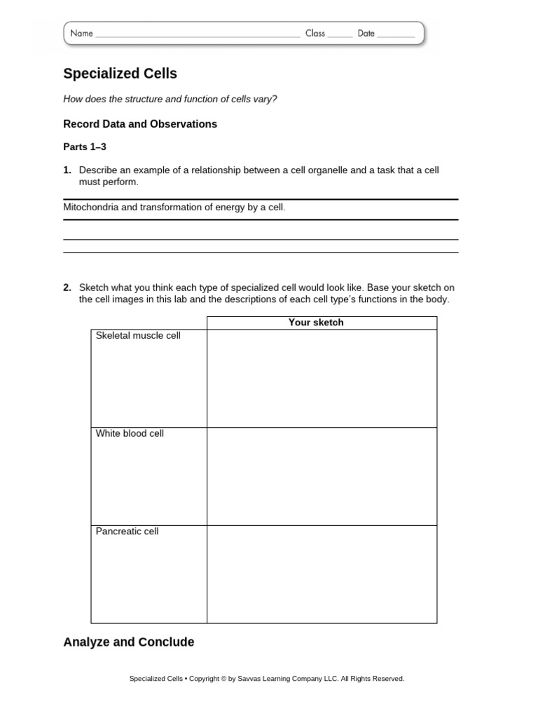 BIO CELL L02 Synth Interactivity WKS | PDF