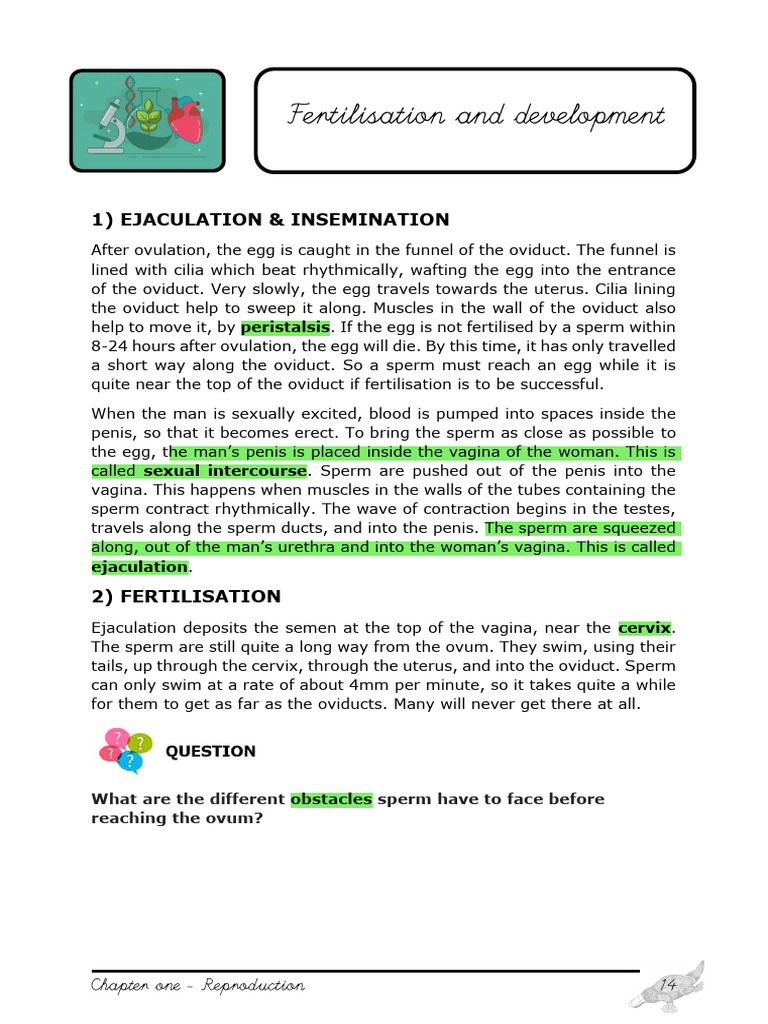 4 CLIL - COURSE MATERIALS (2023-2024) - C1 - REPRODUCTION (Part 2) | PDF | Birth Control | Pregnancy