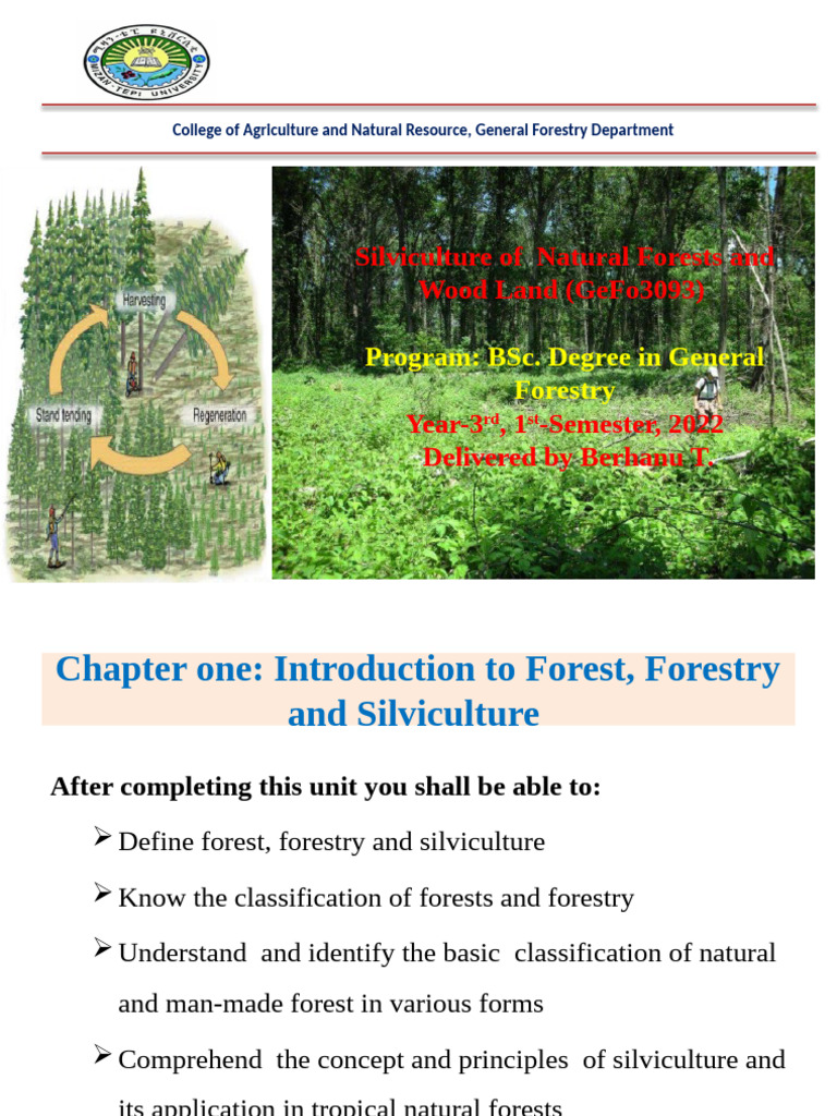 Silviculture of NFs & WL | PDF | Forests | Forestry
