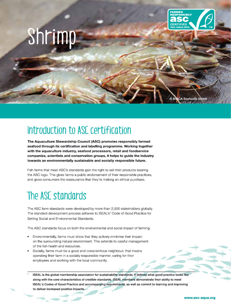 Speciessheets ENG Shrimp Web | PDF