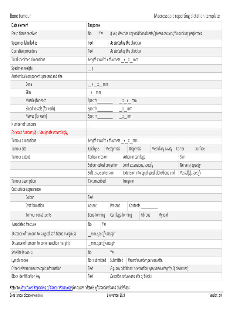 Bone Tumor Reporting Template Guide | PDF | Bone | Neoplasms