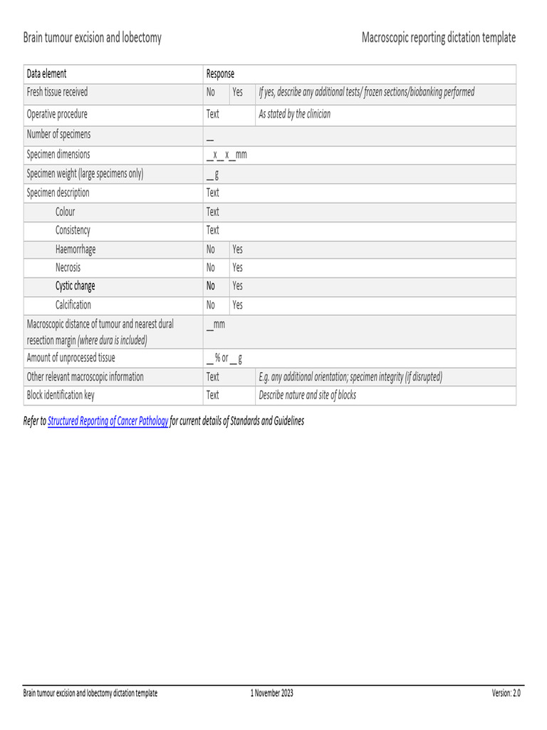 Brain-tumour-excision-and-lobectomy-dictation-template-2-0 | PDF