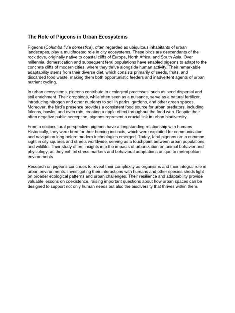 Pigeon Research | PDF