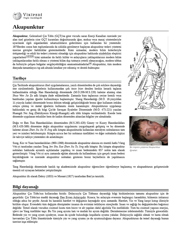 Aku Punk Tur | PDF