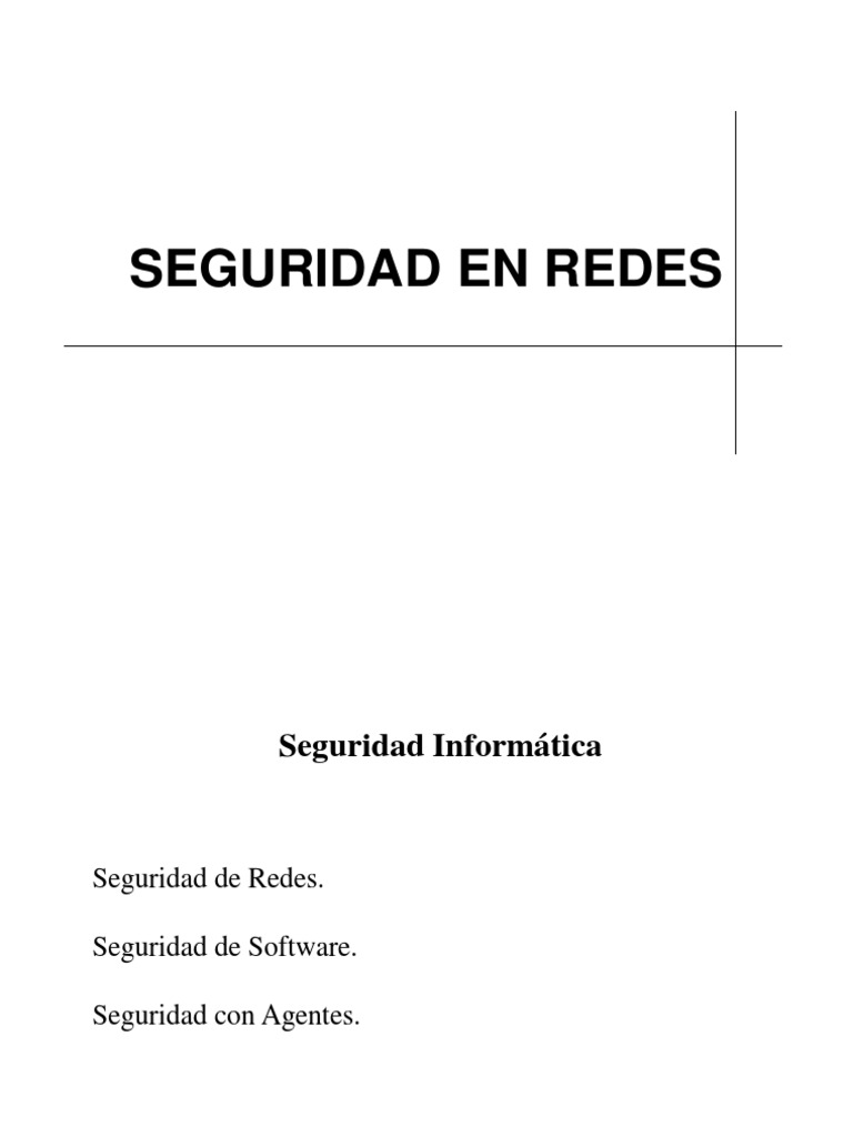Seguridad en Redes | PDF | Cortafuegos (informática) | Red privada virtual