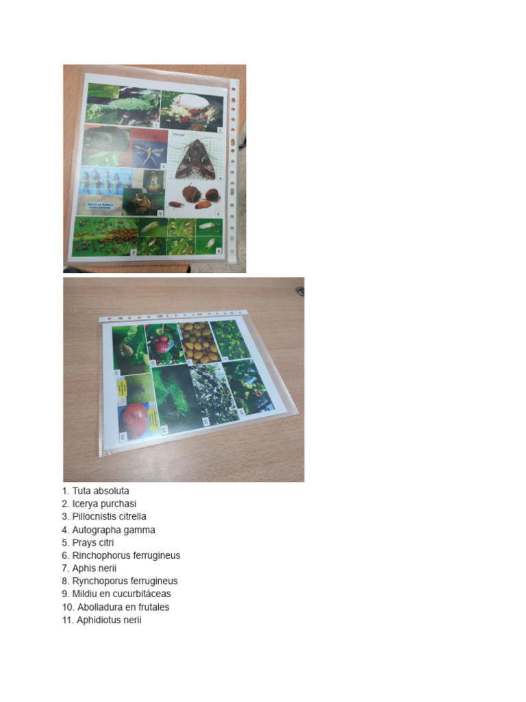 Entrega de Ejercicios 3 | PDF