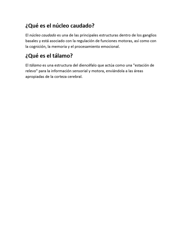 Qué Es El Núcleo Caudado | PDF