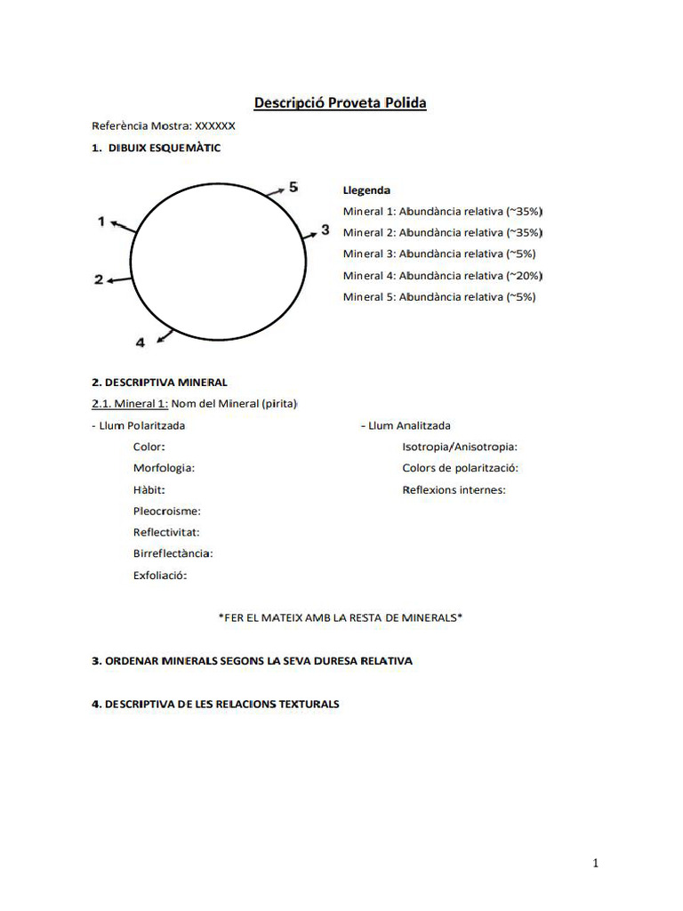 Apunts Practiques | PDF