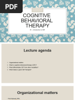 DBT Hierarchy of Treatment Targets | PDF