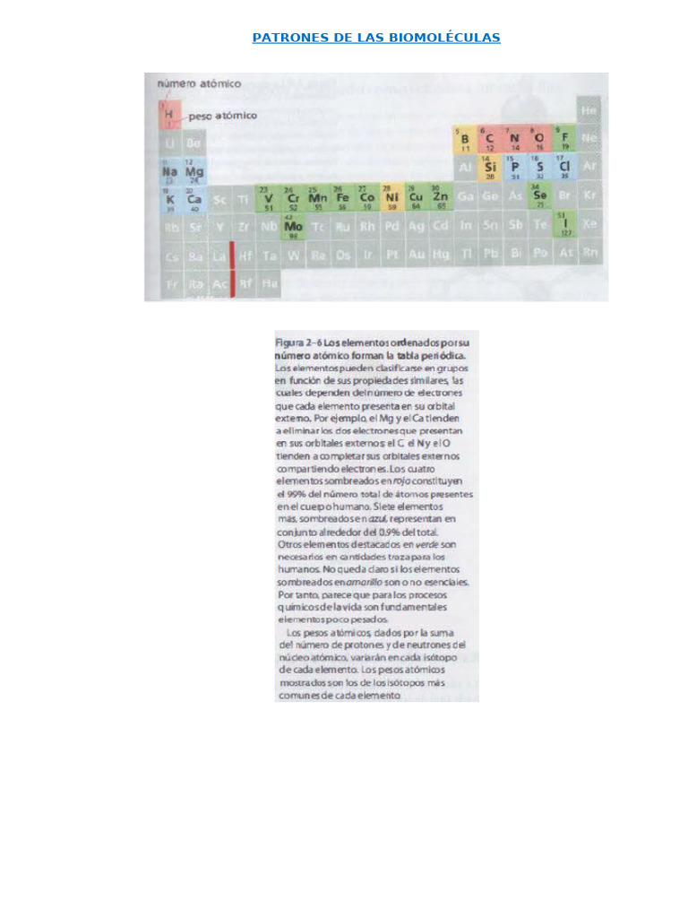 2. Patrones de biomoléculas | PDF