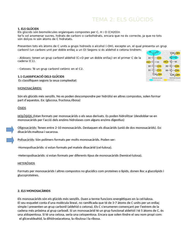 Tema 2 - Els Glúcids | PDF