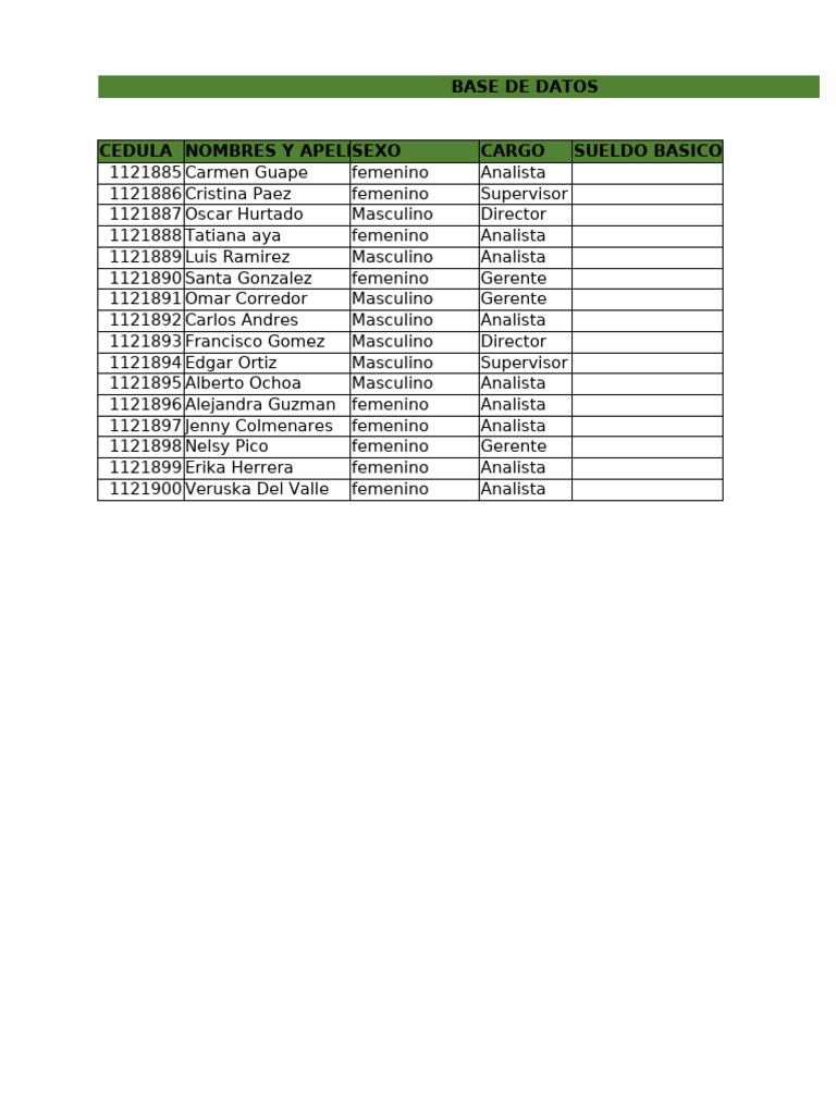 Ejercicio 5 - Validación de Datos | PDF