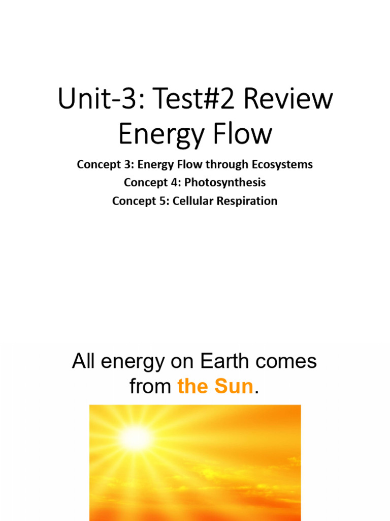 Energy Flow in Ecosystems Overview | PDF | Cellular Respiration | Food Web