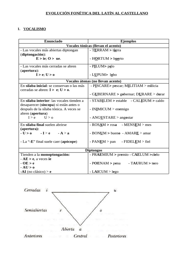 EVOLUCIÓN FONÉTICA DEL LATÍN AL CASTELLANO | PDF | Fonética | Lingüística