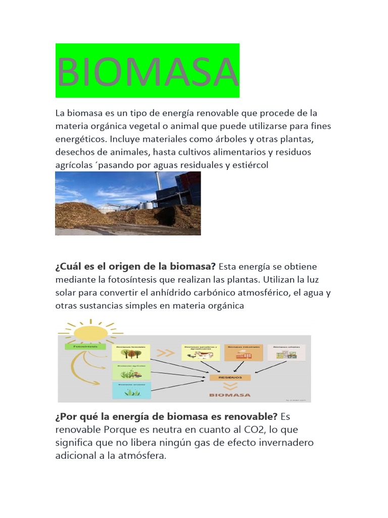 BIOMASA | PDF | Biomasa | Energía renovable