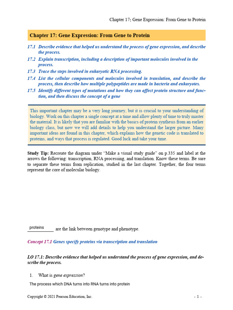 ARG Ch 17 - Gene Expression- From Gene to Protein | PDF | Translation (Biology) | Rna